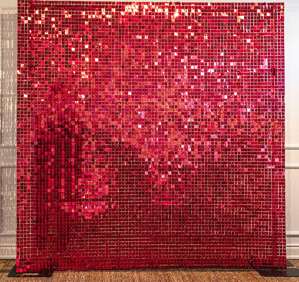 Shimmer Walls Rentals – Funny Event | GTA’s Go-To for Stunning ...